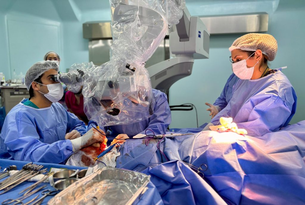 Hospital San Pablo de Coquimbo realiza con éxito primera microcirugía ...